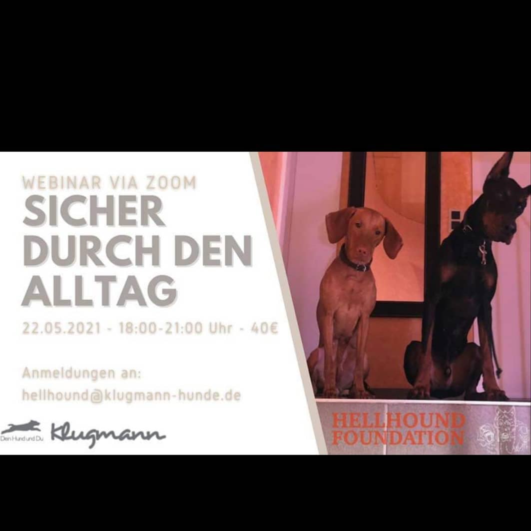 Webinar Sicher durch den Alltag – Hellhound Foundation Webinar Sicher durch den Alltag – Hellhound Foundation